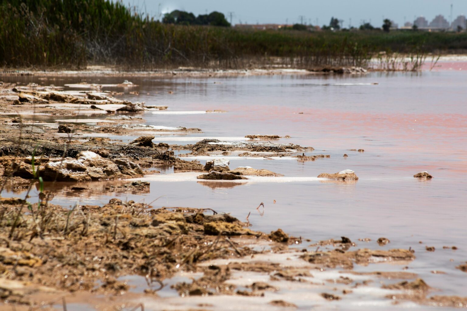Pink Lake Spain - Surprising Natural Wonder, Torrevieja’s - EscapeCents